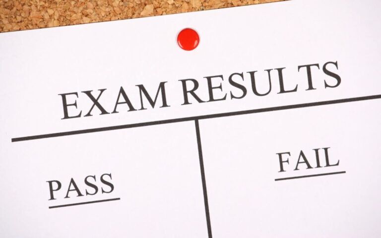 Understanding the Pass Marks for Functional Skills Exam – Learning Mate